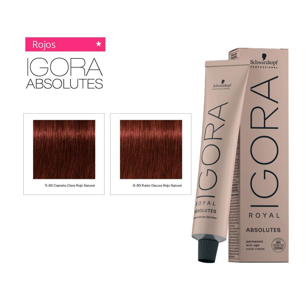 IGORA ABSOLUTES - ROJOS - Coloración Permanente - 60ml – SELFIE